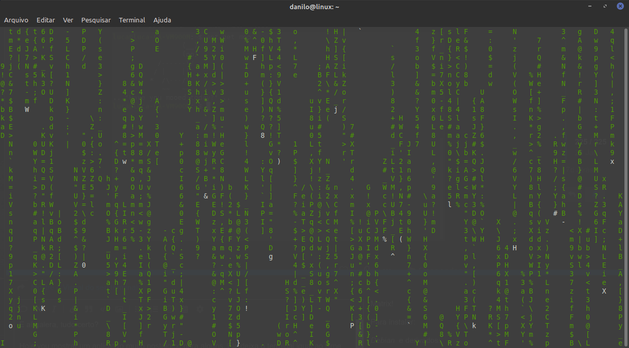 Mostre o Visual do seu terminal - Customização e Temas - Diolinux Plus